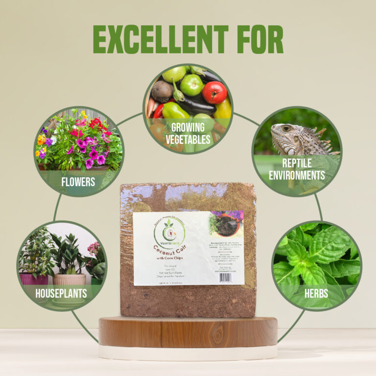 Shop – VermisTerra